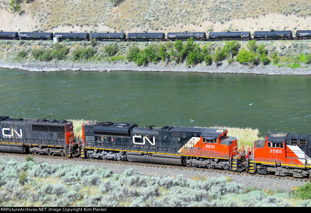 CN 8810
